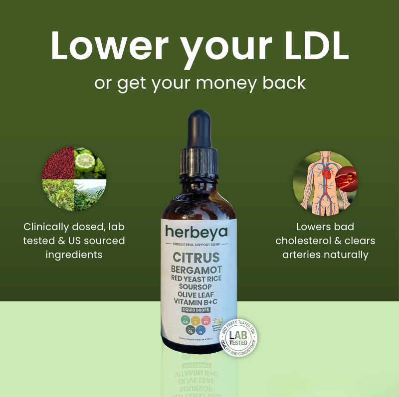 Red Yeast Rice Cholesterol Cleanse – Mullein